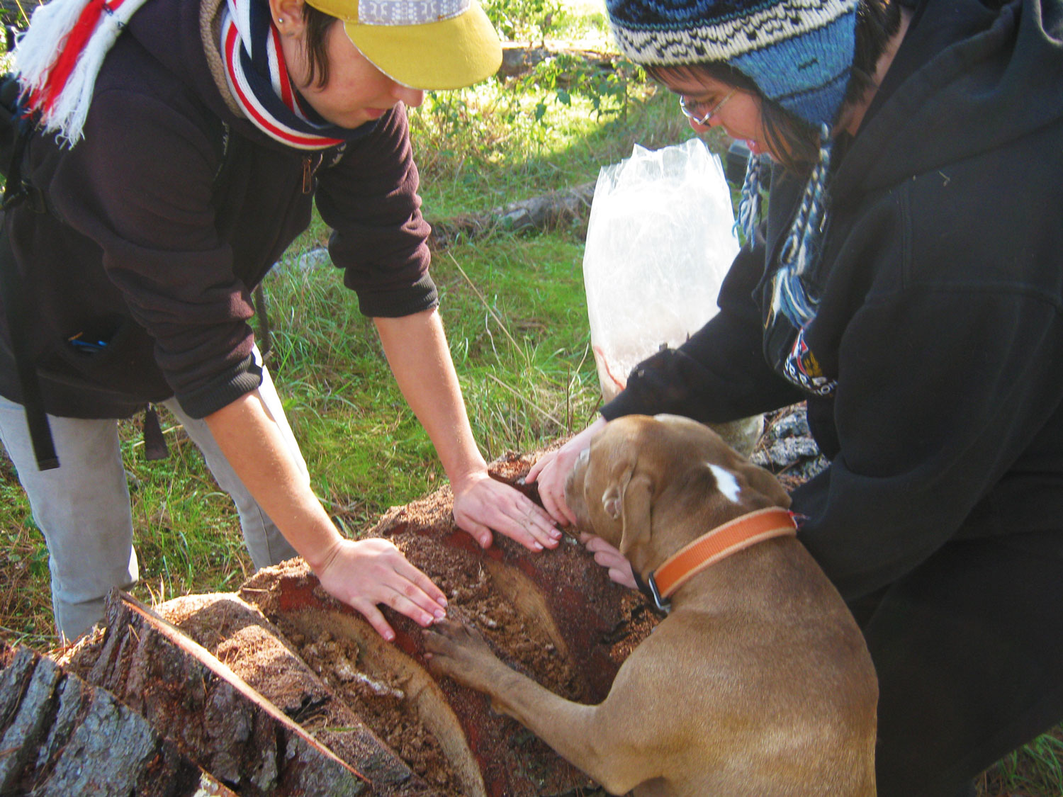 The Hidden Kingdom of the Blobs | Edible East Bay