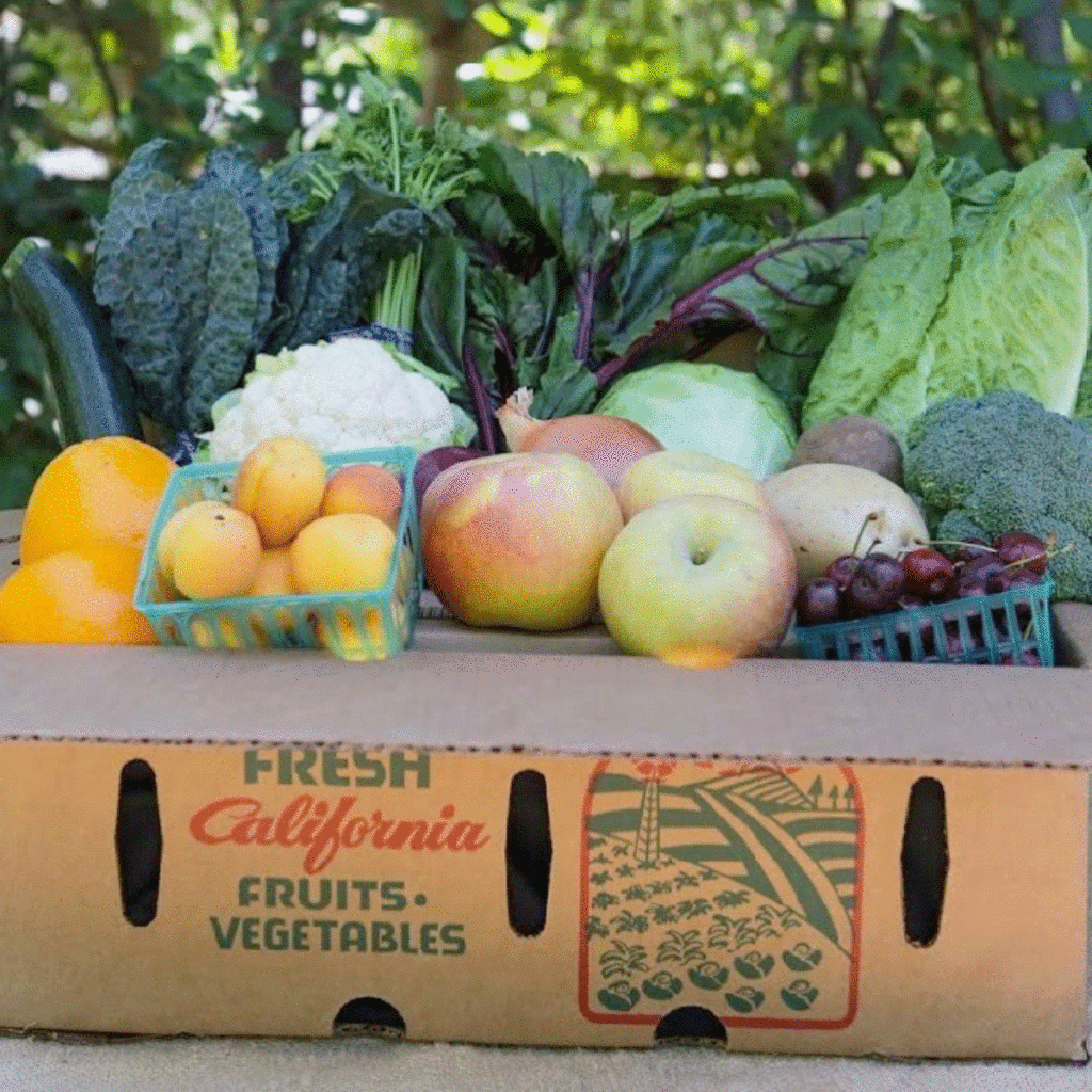A Few of Our Favorite Food Boxes | Edible East Bay