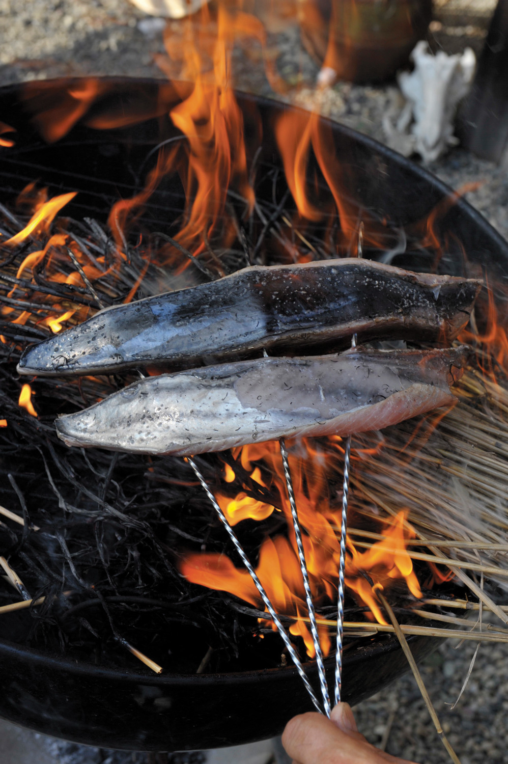 Seared Bonito with Ginger, Garlic, and Chives (Katsuo No Tataki ...
