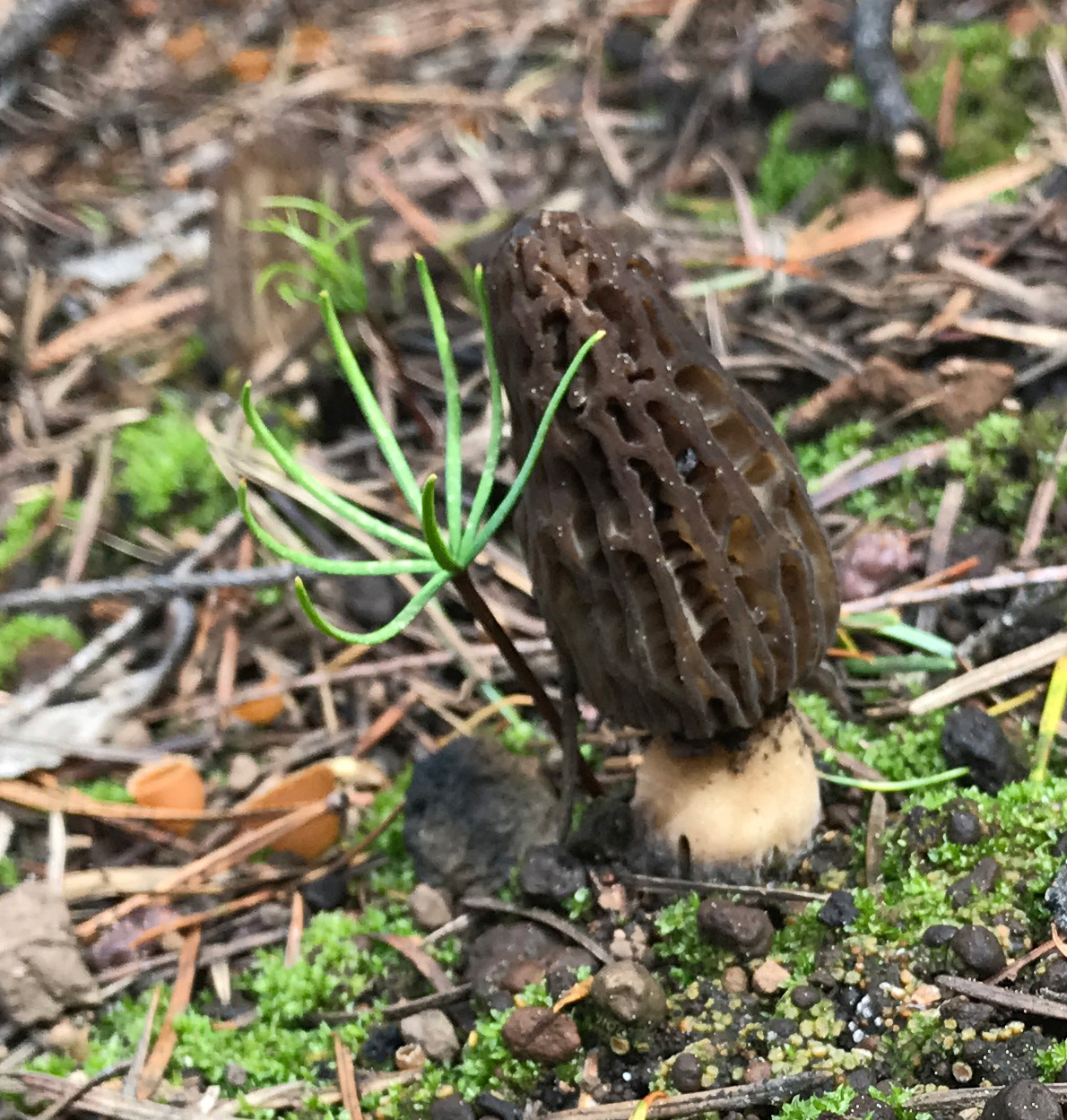 Editor’s Mixing Bowl | Edible East Bay