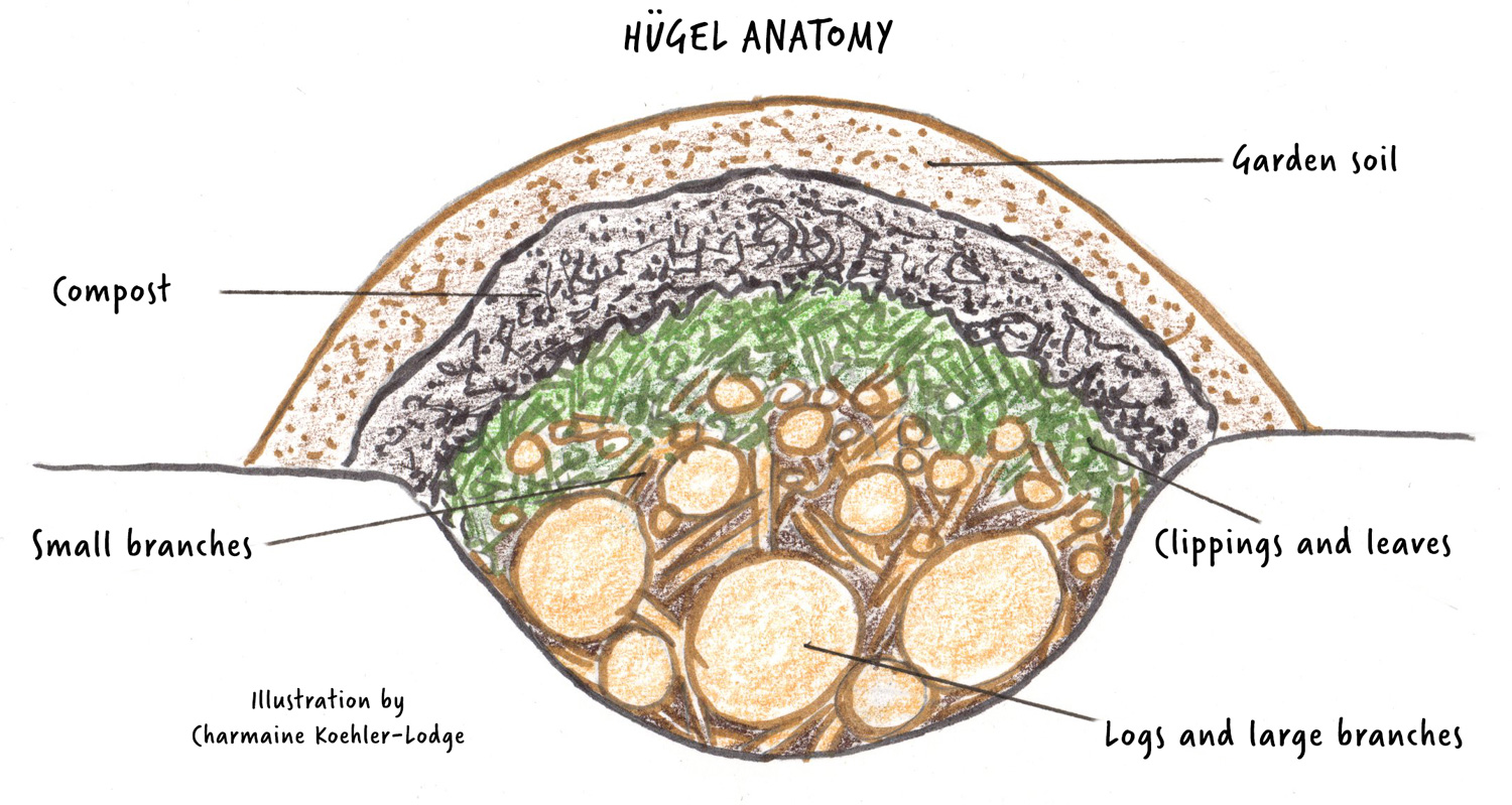 How to Hug a Hügel: July 21 Workshop at Cloverfield Organic Farm ...