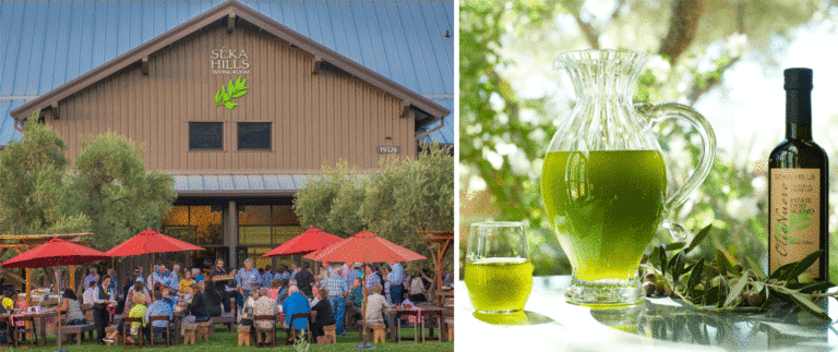 Séka Hills Olive Crush Festival: Nov 13 in Capay Valley | Edible East Bay
