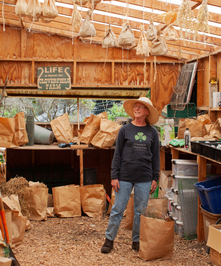 A Taste of Biointensive Farming at Cloverfield Organic Farm | Edible ...