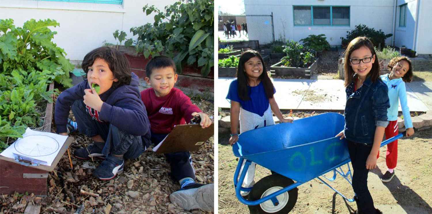 Garden Science Teacher Opening at Bay Farm School in Alameda | Edible ...