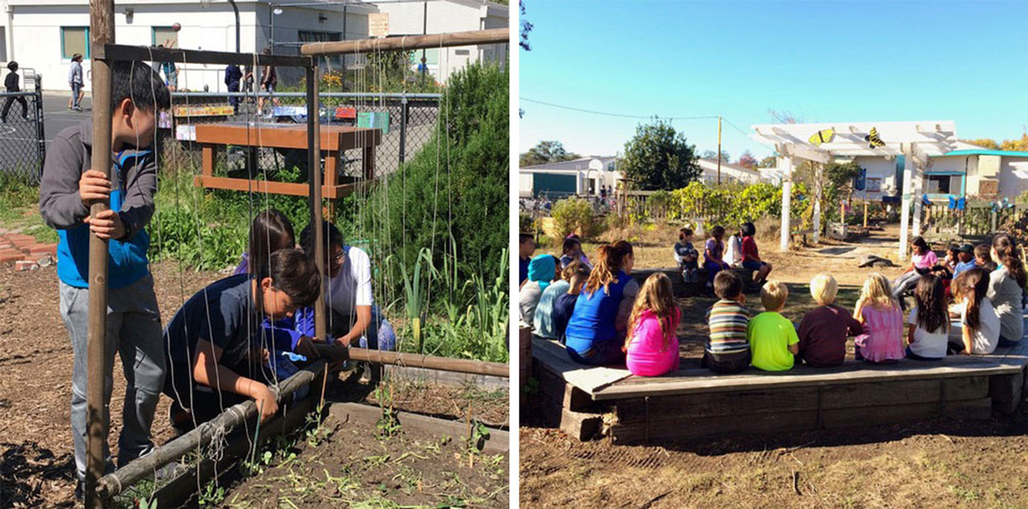 Garden Science Teacher Opening at Bay Farm School in Alameda | Edible ...
